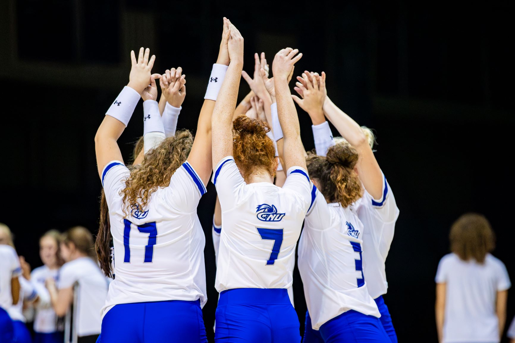 Volleyball Calling Night